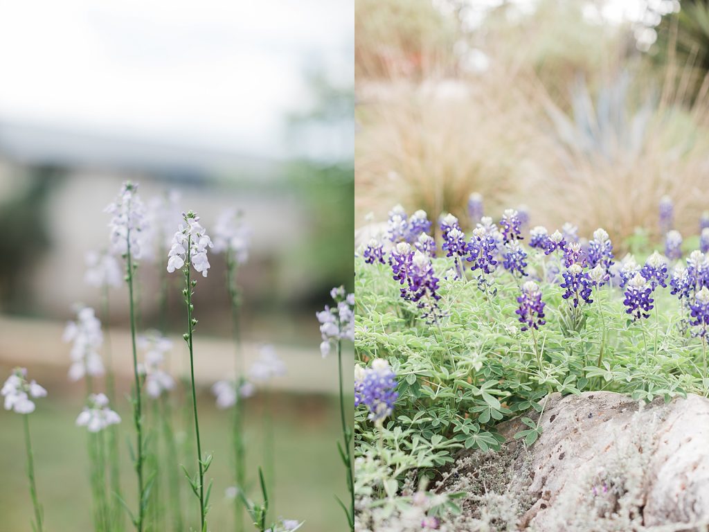 Spring LBJ Wildflower Center Wedding | Austin TX Wedding Photographer